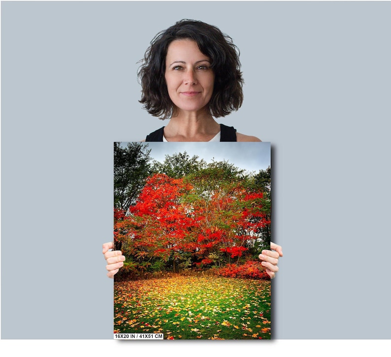 Autumn Colors Print, Red Leaves Wall Canvas, Fine Art Landscape, Nature ...