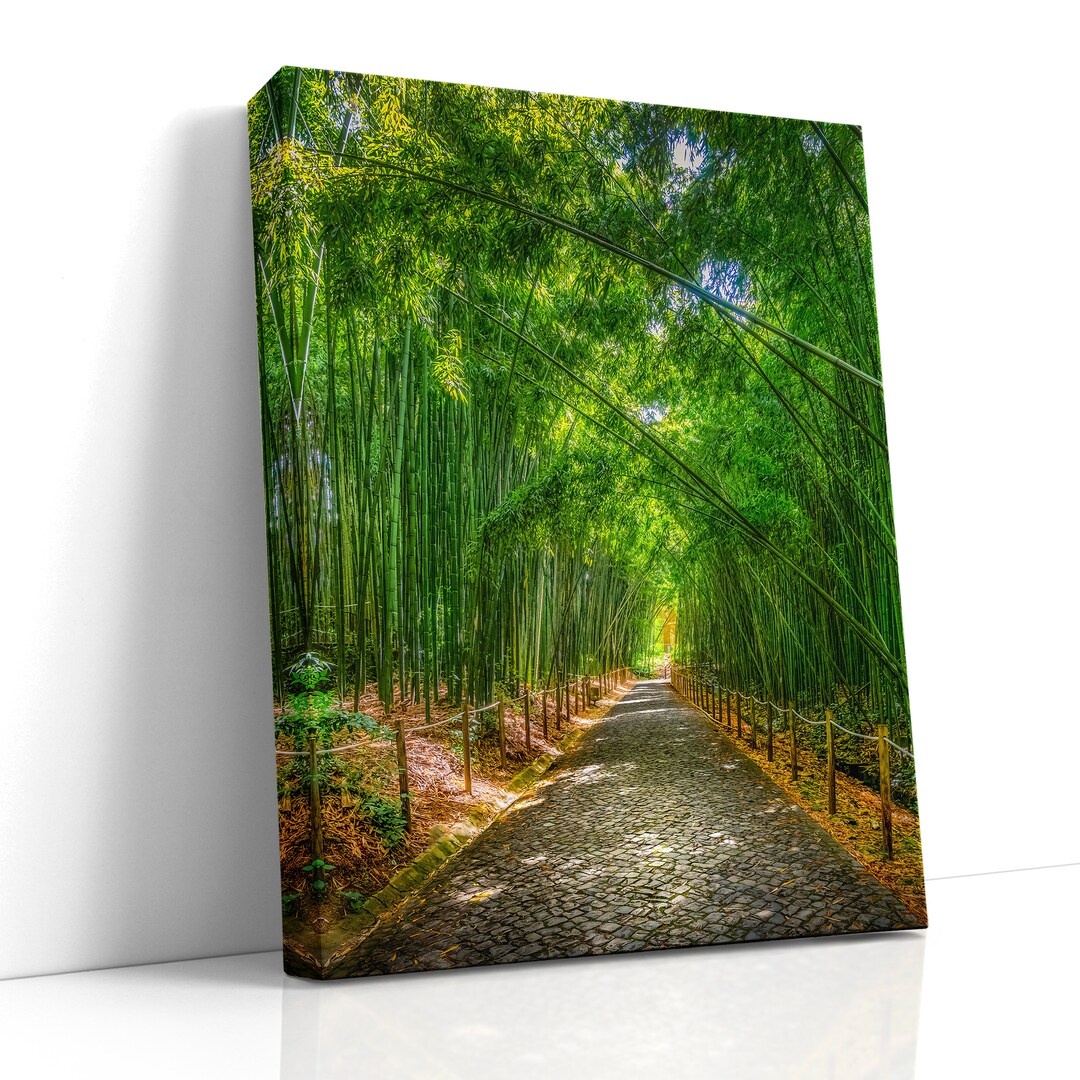 Bamboo Forest Vertical Print, Coimbra Wall Art, Portugal Canvas, Bamboo ...