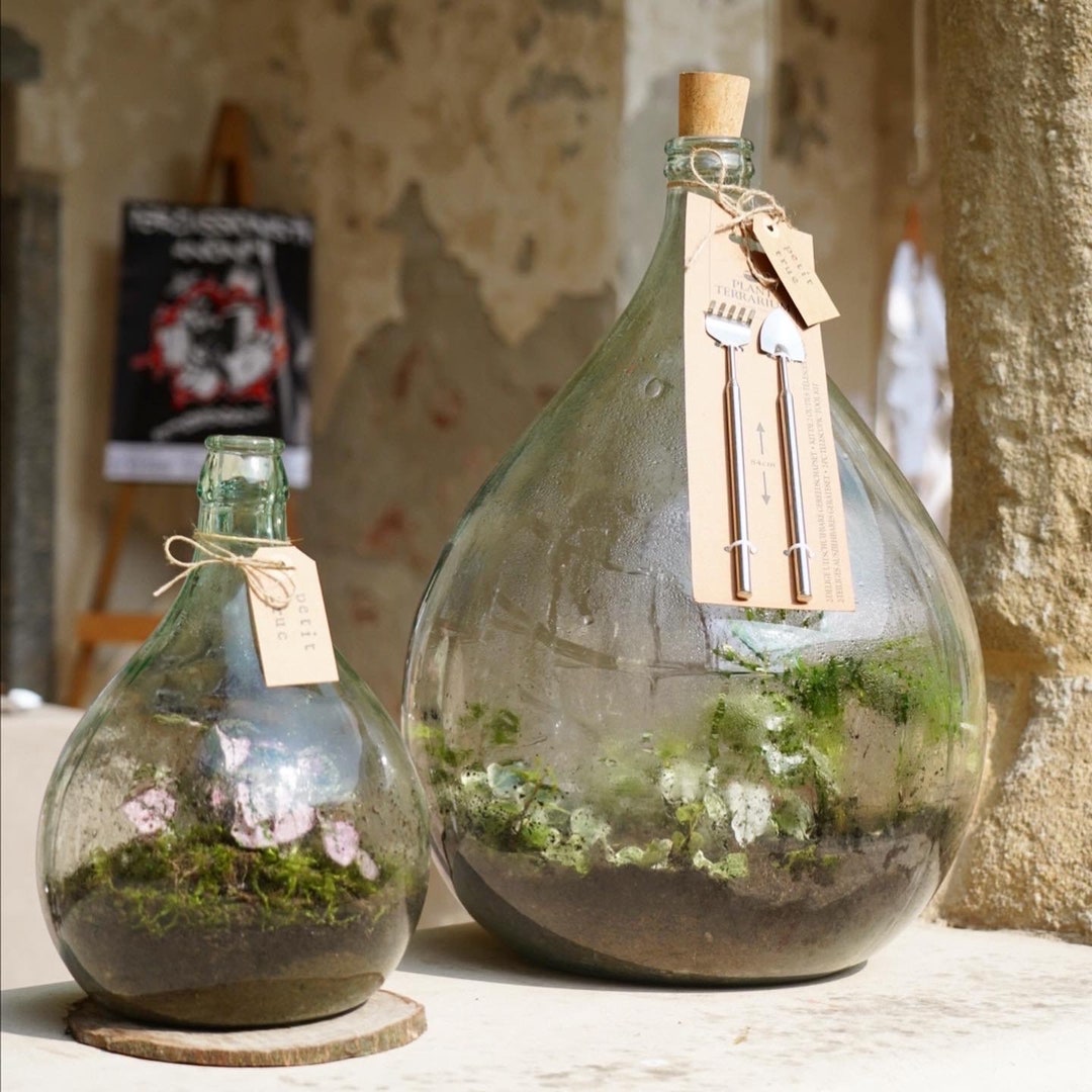Demijohn for Making the Terrarium Included Terrarium KIT - Vase of Your ...
