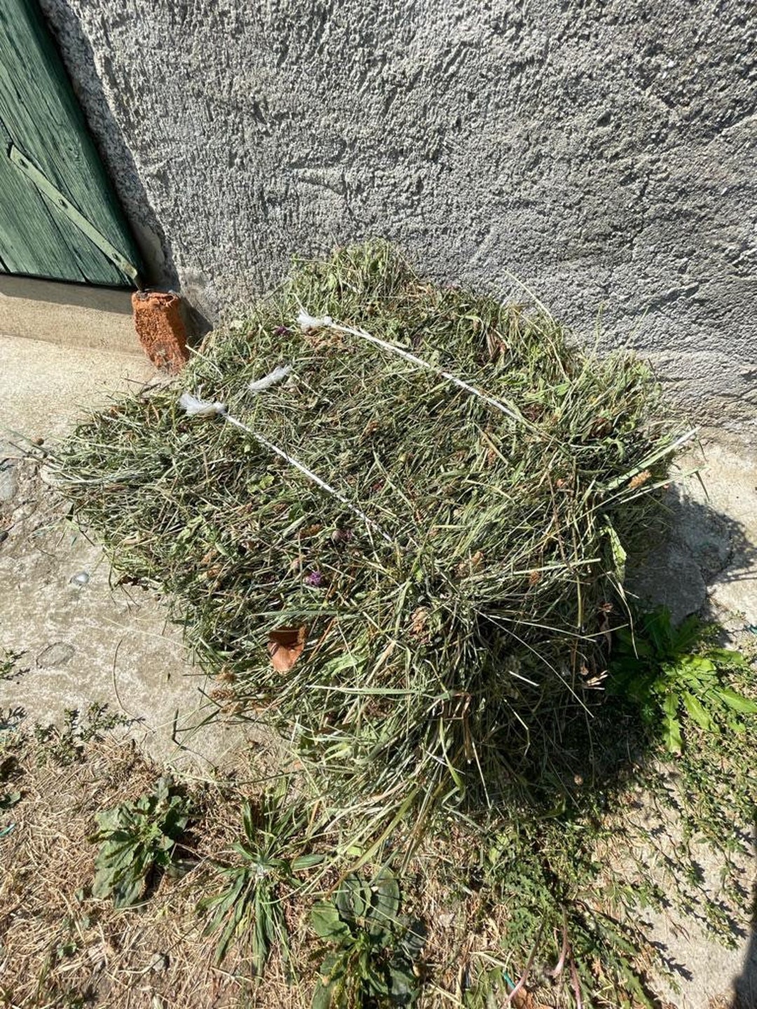Hay - Hay Bales 5kg - Bale - Rabbit - Animal - Grass - Nature ...