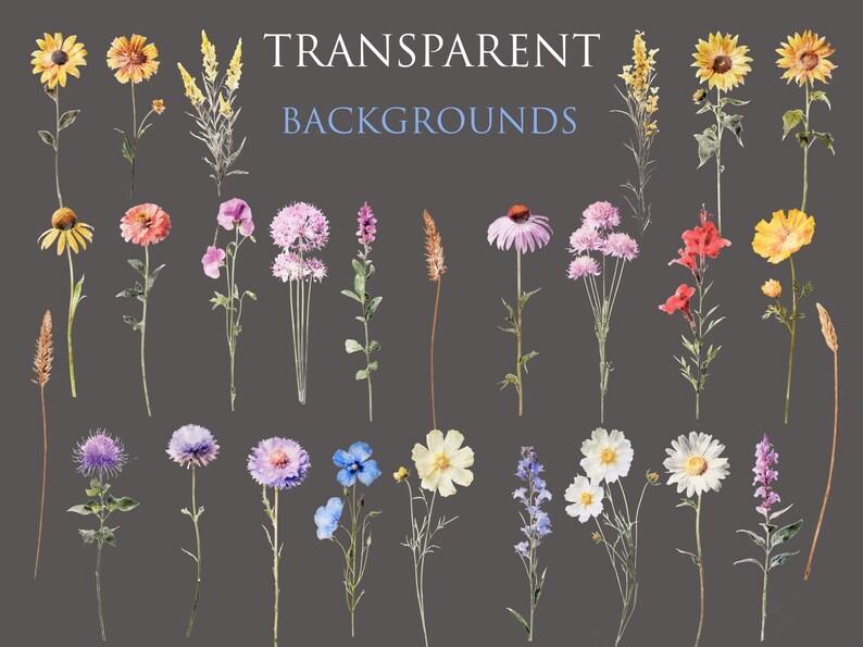 Wildflower Watercolor Clipart, Botanical Floral, Wild Flowers Floral ...