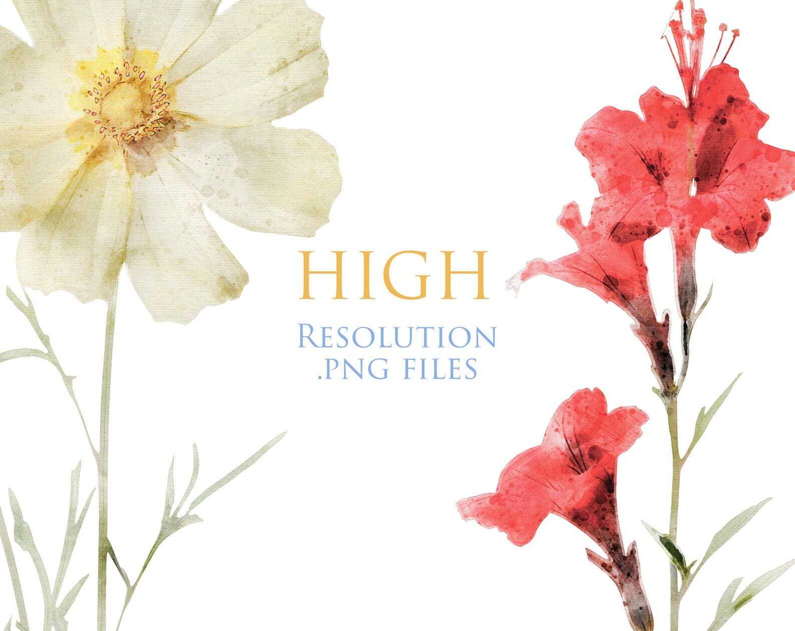 Wildflower Watercolor Clipart, Botanical Floral, Wild Flowers Floral ...