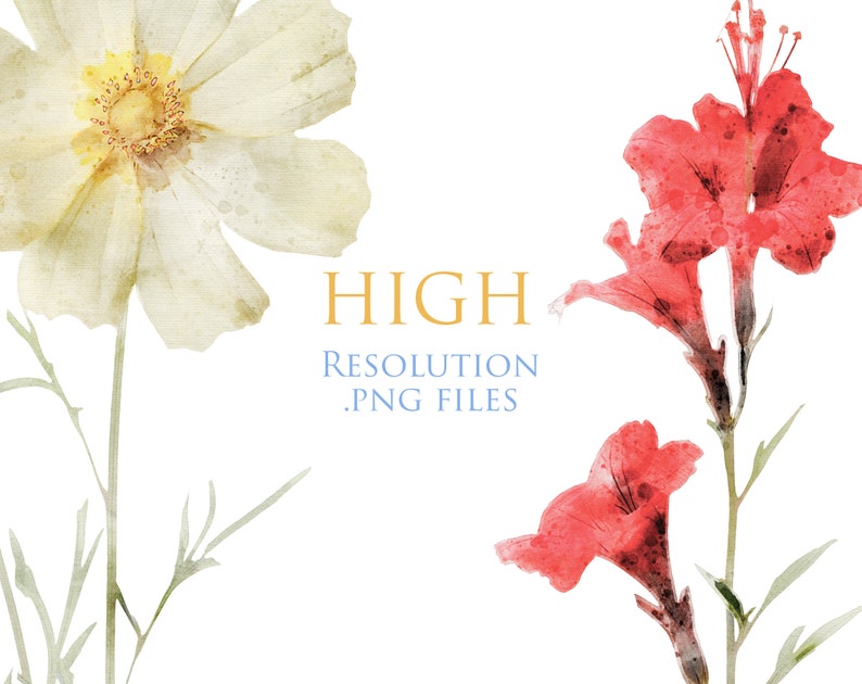 Wildflower Watercolor Clipart, Botanical Floral, Wild Flowers Floral ...