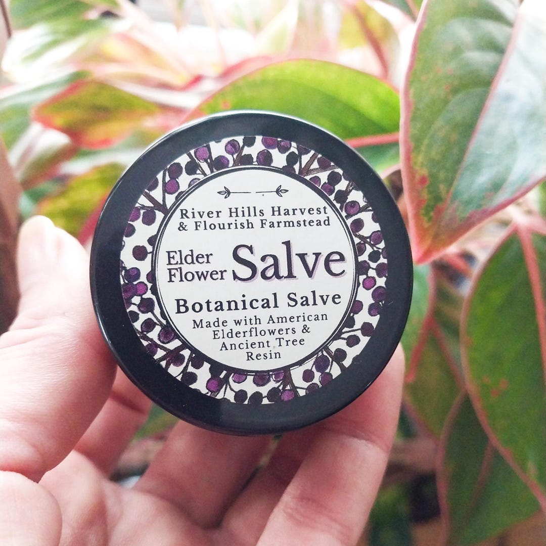 1oz Elderflower Salve Made With Ancient Tree Resin and American ...