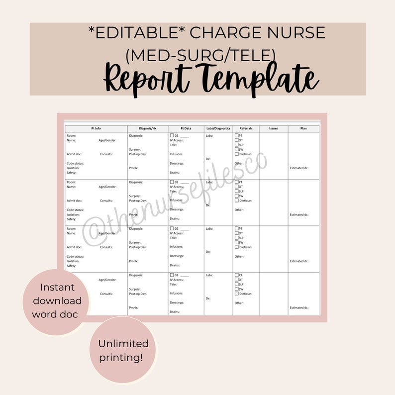 EDITABLE Charge Nurse Template Head Nurse Report Charge - Etsy