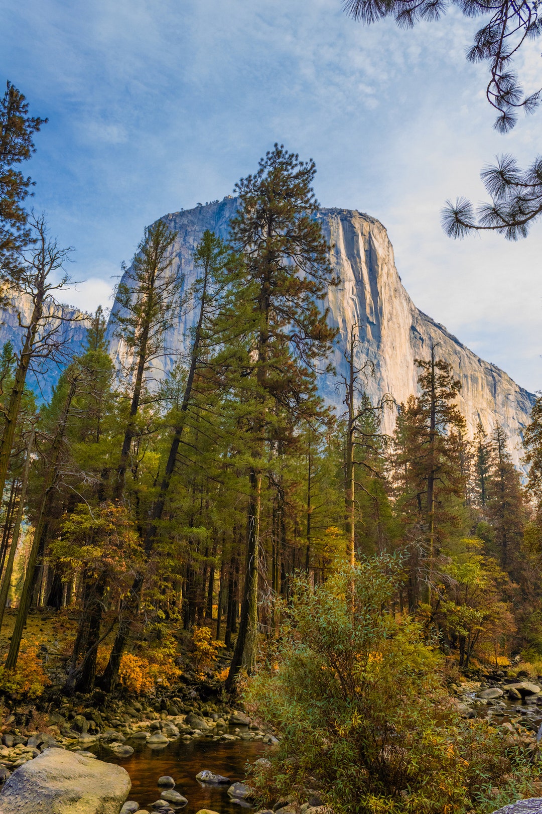 Landscape Photography, Yosemite, Art, Wall Decor, Photo Prints - Etsy
