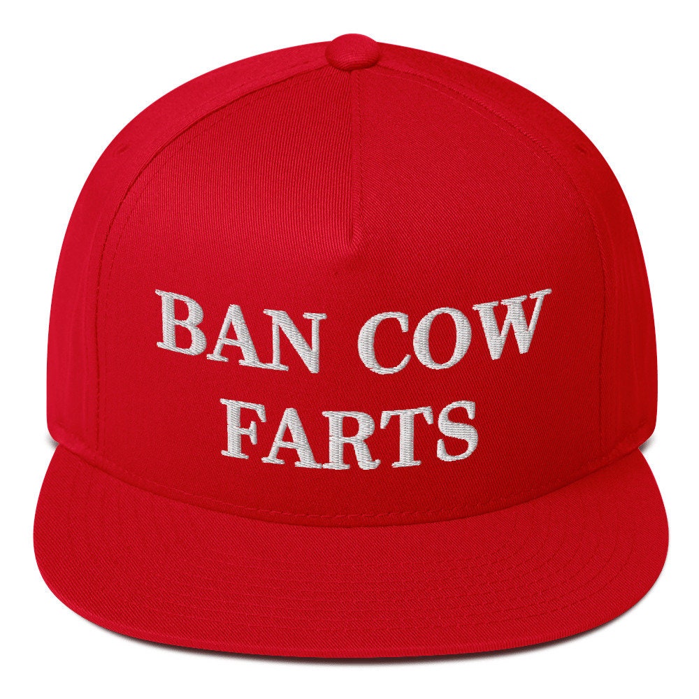 Cow Farts Snapback Cap Cow Farts Embroidered Hat Reduce - Etsy