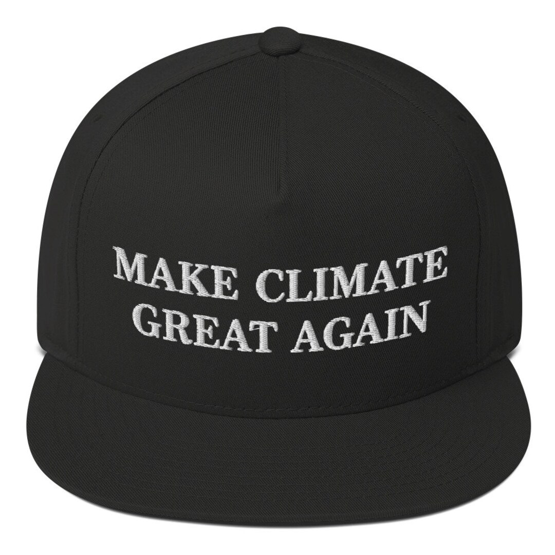 Climate Change Snapback Cap, Climate Change Embroidered Hat, Make ...