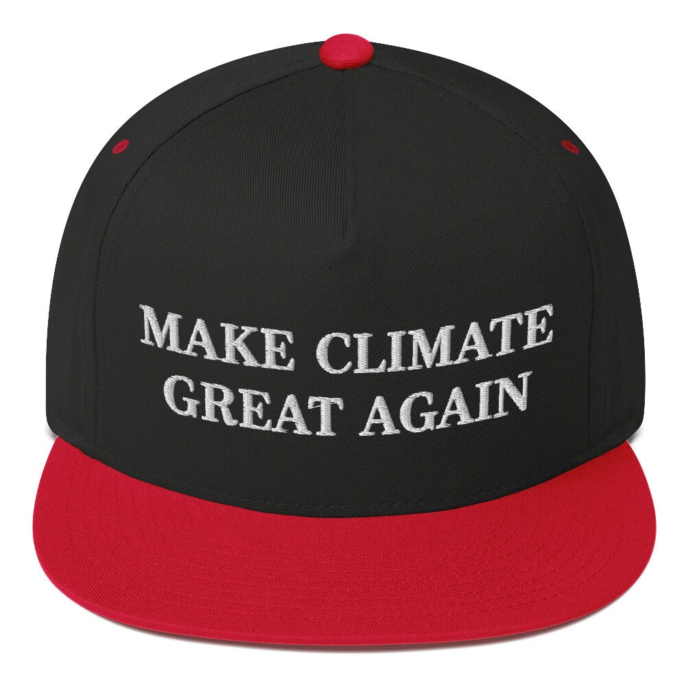 Climate Change Snapback Cap, Climate Change Embroidered Hat, Make ...