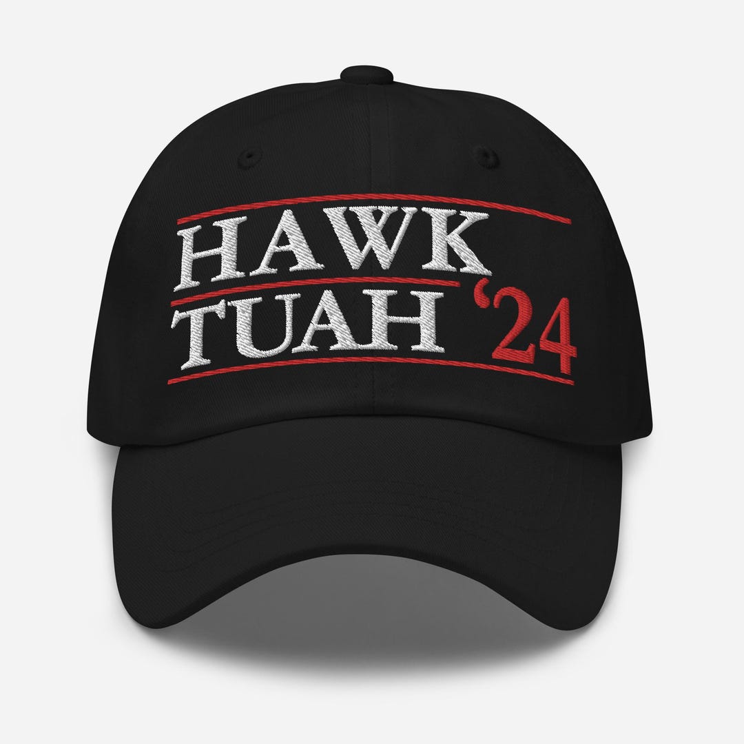 Hawk Tuah 2024 Red Hat (embroidered Dad Cap) - Etsy
