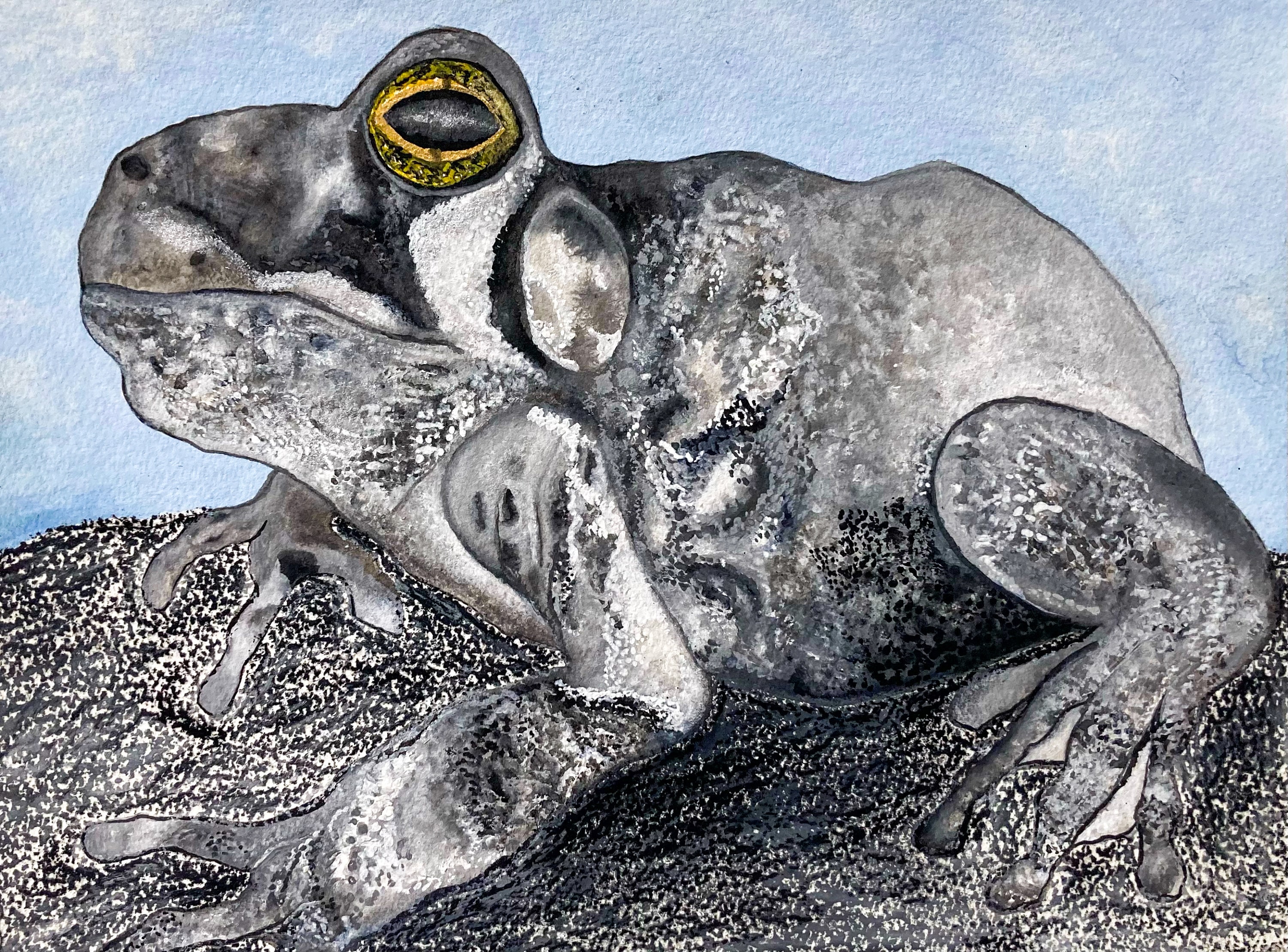 Gray Tree Frog Original Watercolor Painting Print - Etsy