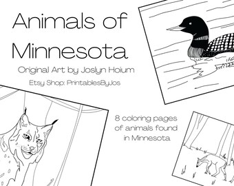 Minnesota Coloring Book - Etsy