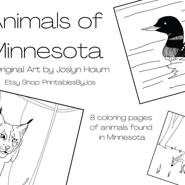 Minnesota Coloring Page - Etsy
