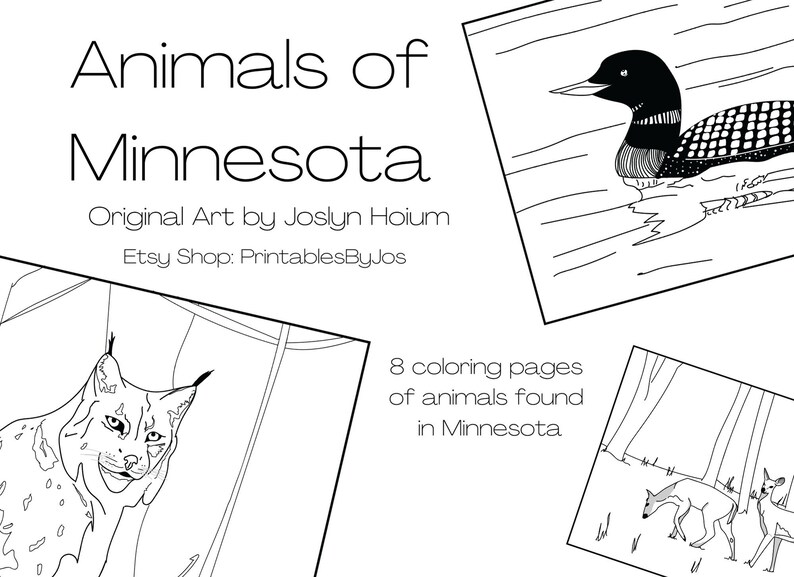 Animals of Minnesota Coloring Book- 8 Coloring Pages- Original Artwork ...