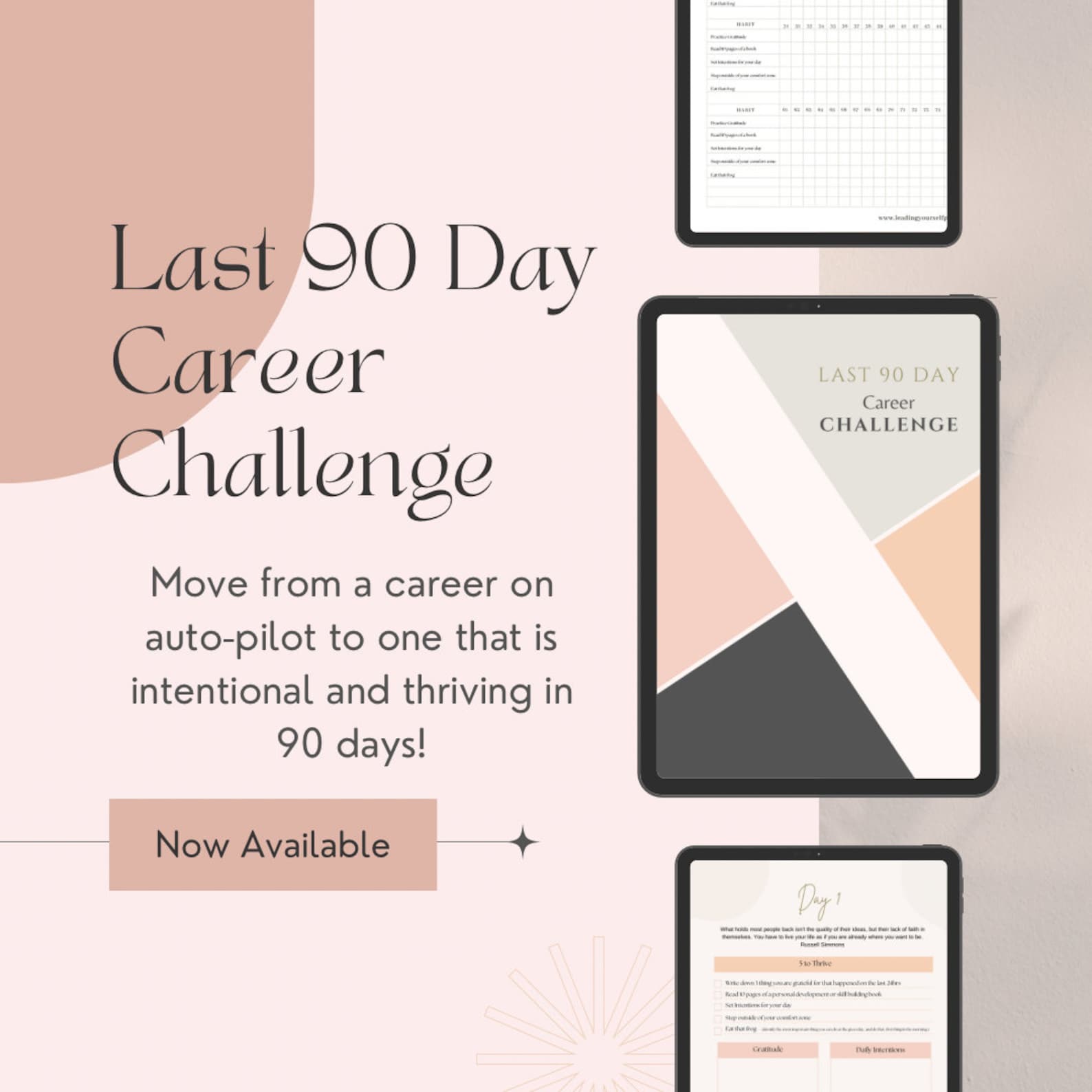 Last 90 Day Career Challenge Planner - Etsy