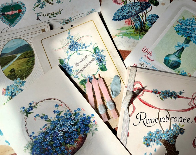 7 FORGET ME NOT Postcards. Lot of Vintage Postcards From the Early 1900 ...
