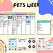 ANIMAL THEMES Printable Preschool Lesson Plan Bundle/perfect for ...