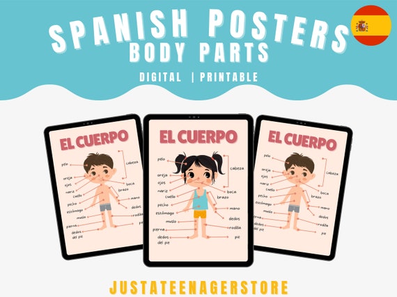 Spanish Body Parts Digital Poster Beginner Vocabulary - Etsy