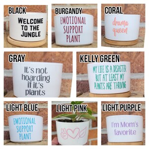 Sassy Sayings Ceramic Plant Pot With Drainage,funny Succulent Pot,plant ...