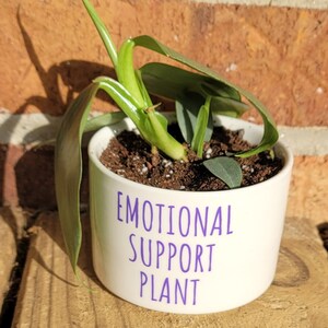 Emotional Support Plant Sassy Sayings Ceramic Plant Pot With Drainage ...