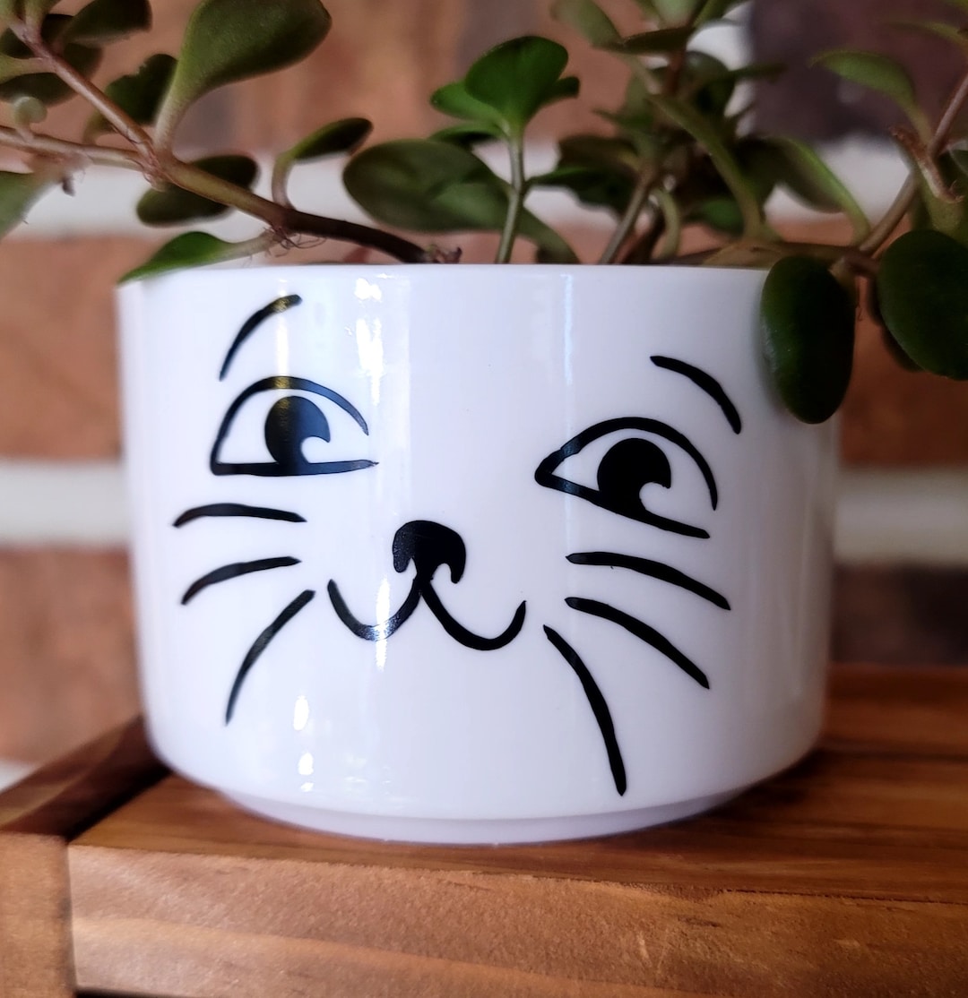 Cat Face Ceramic Planter, Cute Succulent Pot, Cactus Pot, Air Plant Pot ...