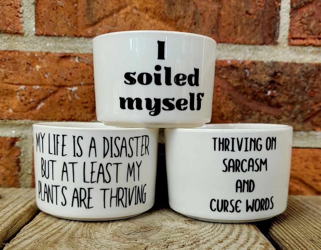 Sassy Sayings Ceramic Plant Pot, Succulent Plant Pots With Sayings ...