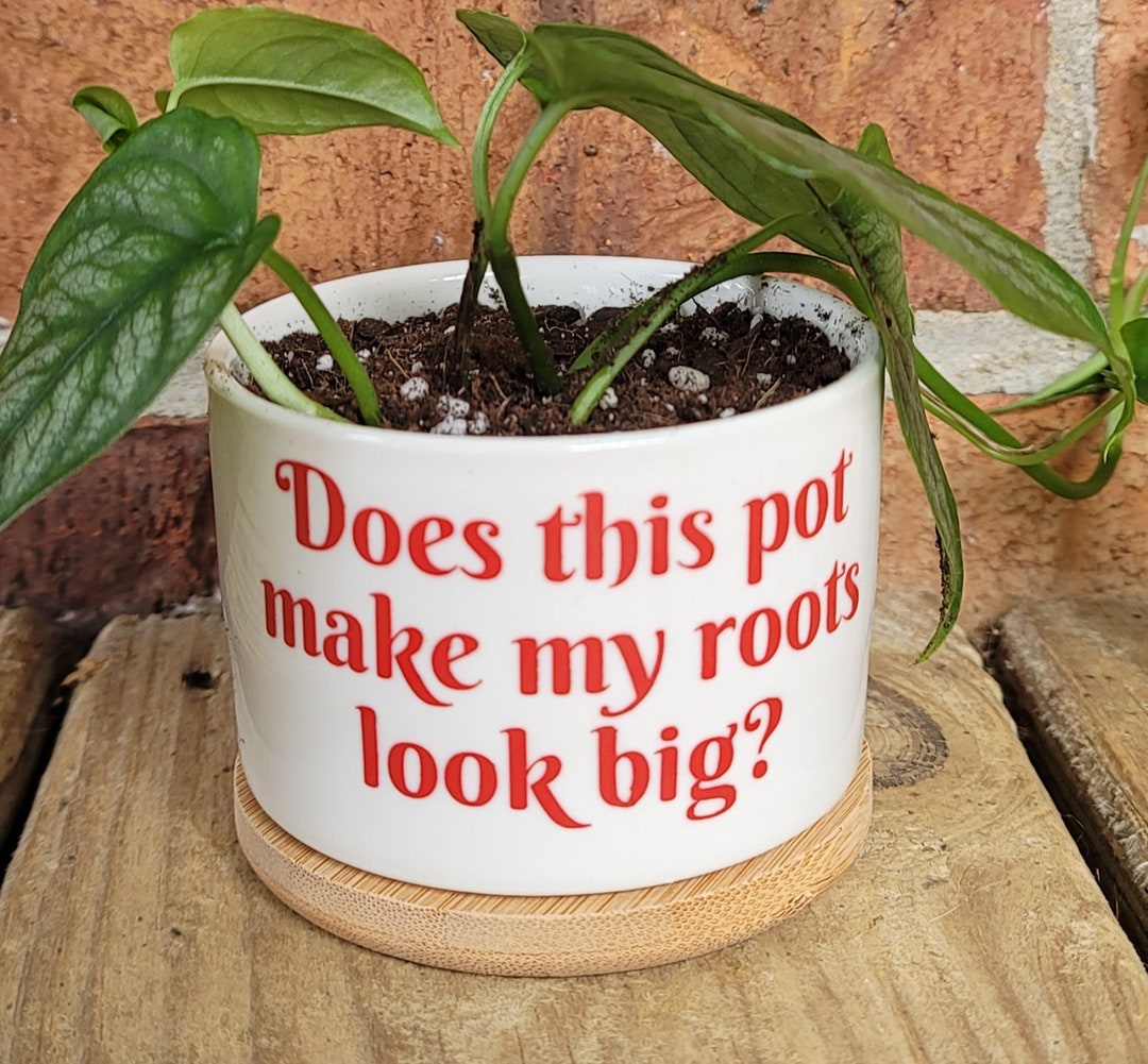 Sassy Sayings Ceramic Plant Pot With Drainage,funny Succulent Pot,plant ...