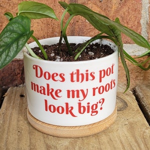 Sassy Sayings Ceramic Plant Pot With Drainage,funny Succulent Pot,plant ...