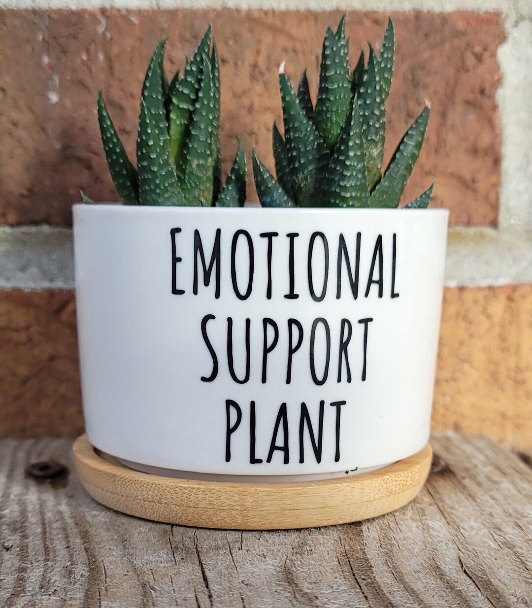 Emotional Support Plant Sassy Sayings Ceramic Plant Pot With Drainage ...