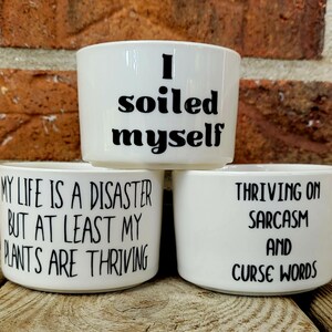 Sassy Sayings Ceramic Plant Pot With Drainage,succulent Planter,cactus ...