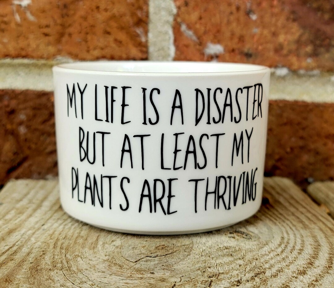 Sassy Sayings Ceramic Plant Pot With Drainage,succulent Planter,cactus ...