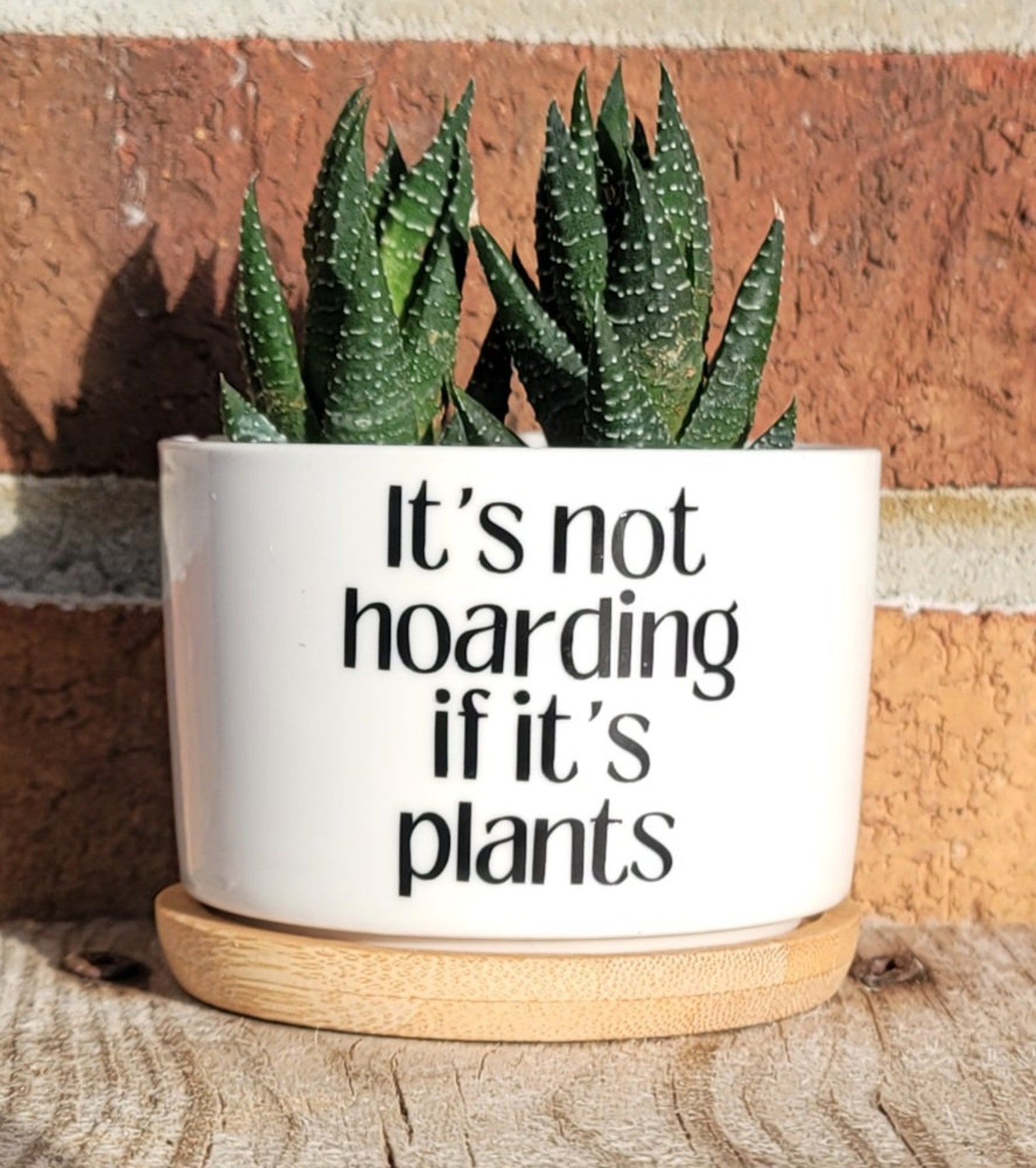 It's Not Hoarding If It's Plants Sassy Sayings Ceramic Plant Pot With ...