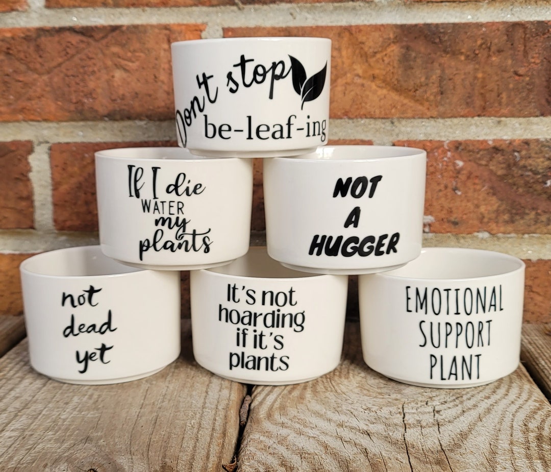 Sassy Ceramic Plant Pot: Funny Succulent/cactus Planter With Bamboo ...