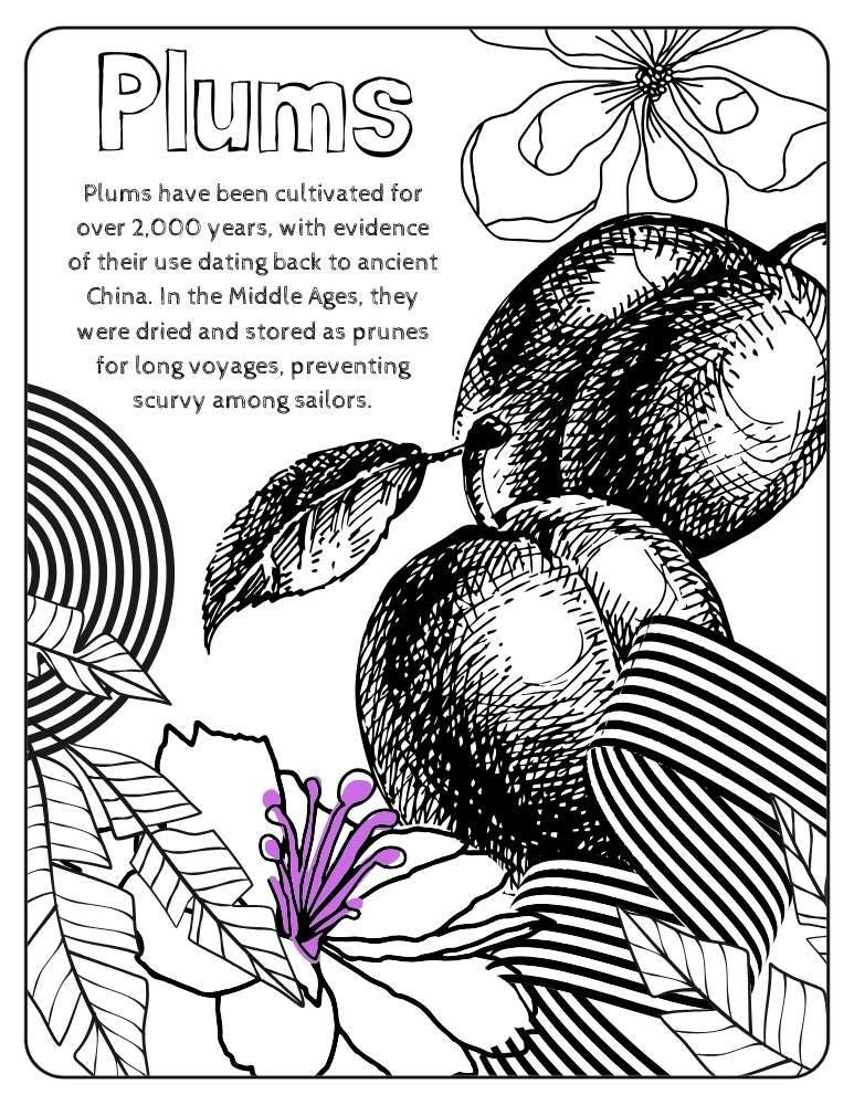 Printable Fruit Coloring Book – Unique Coloring Pages for Kids & Adults ...