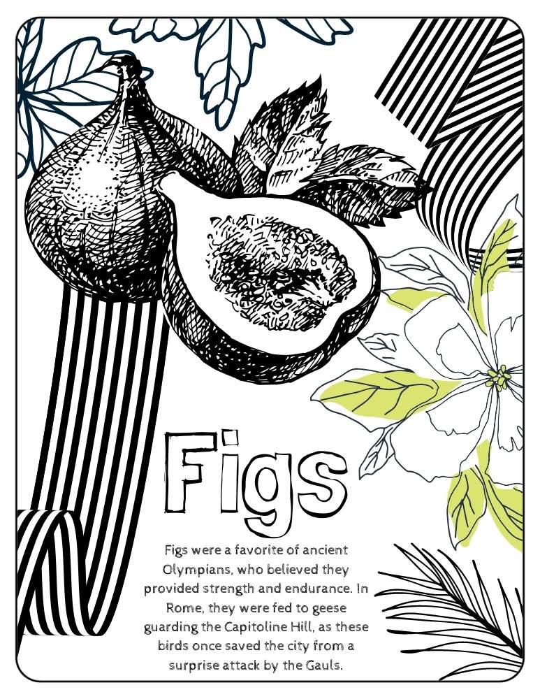 Printable Fruit Coloring Book – Unique Coloring Pages for Kids & Adults ...