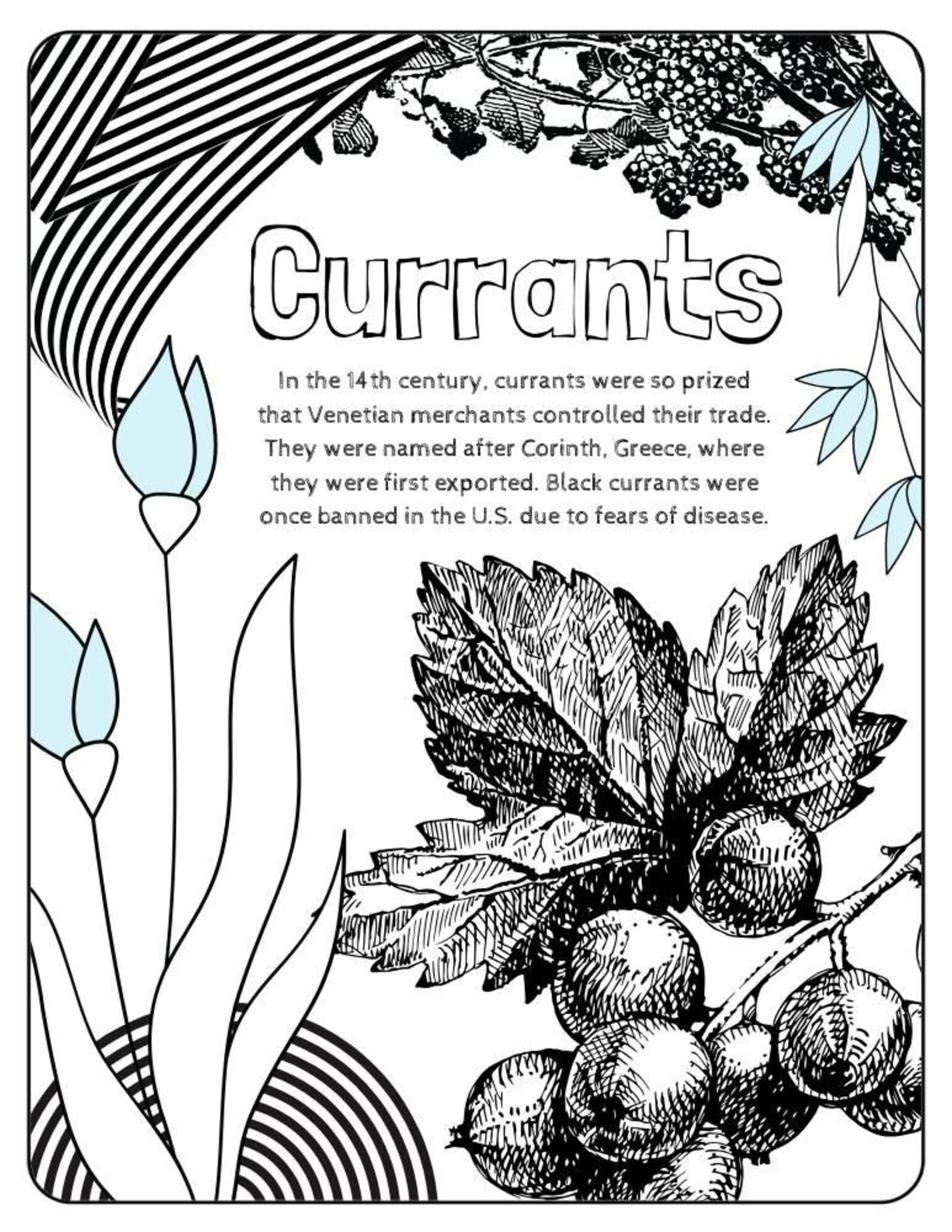 Printable Fruit Coloring Book – Unique Coloring Pages for Kids & Adults ...