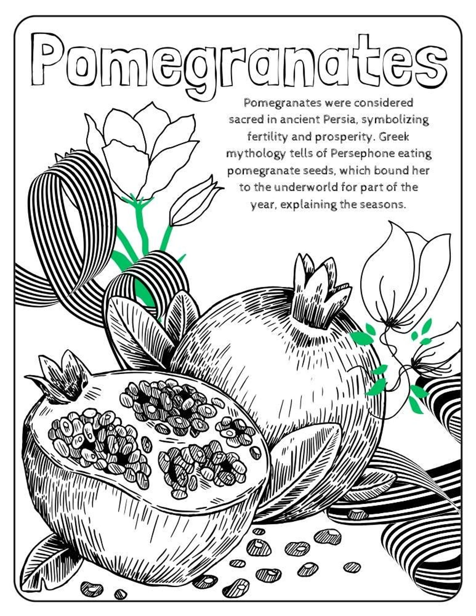 Printable Fruit Coloring Book – Unique Coloring Pages for Kids & Adults ...