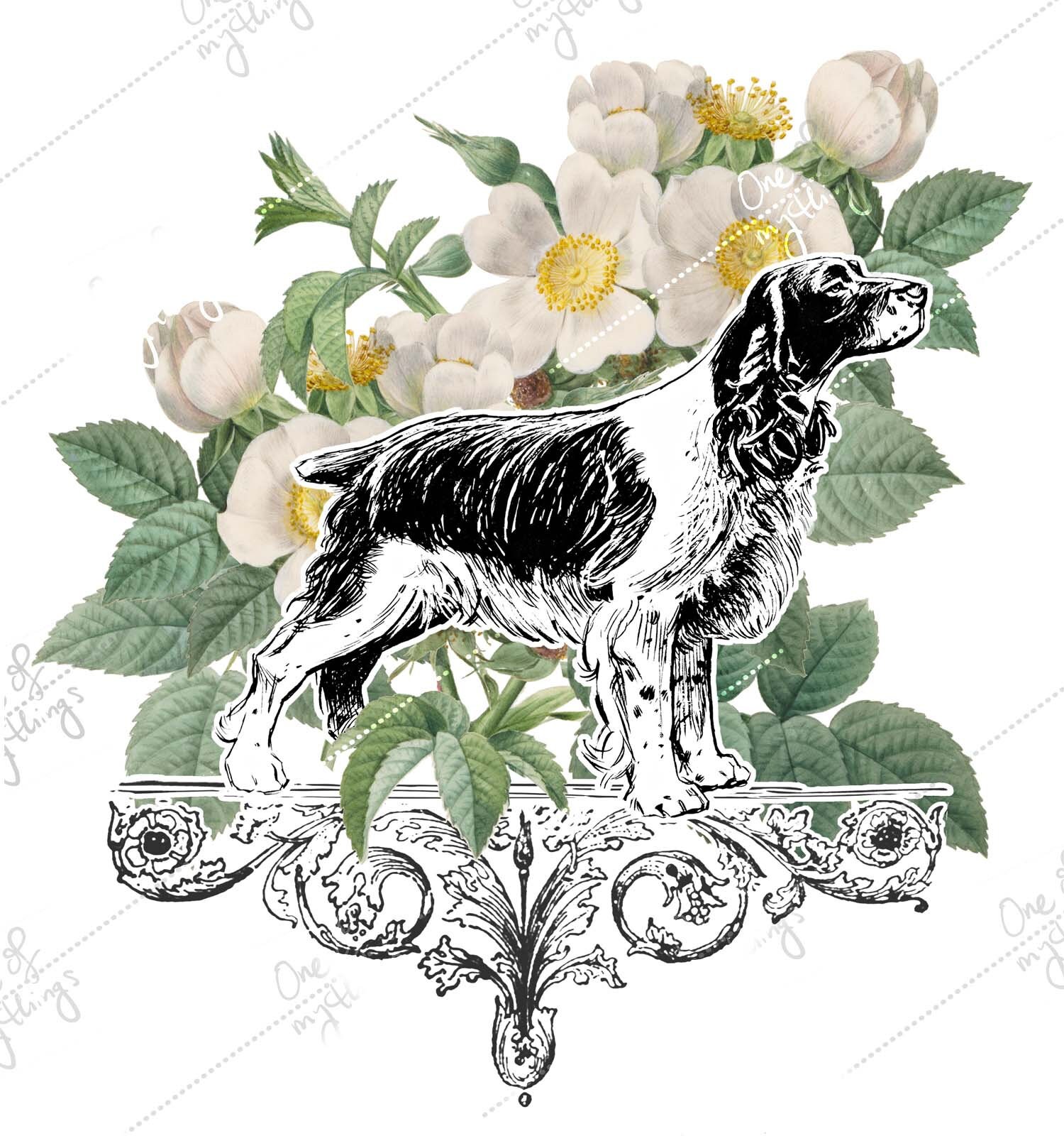 Spaniel and Multiflora Rose - Breeds and Botanicals Tee + Donation to ...