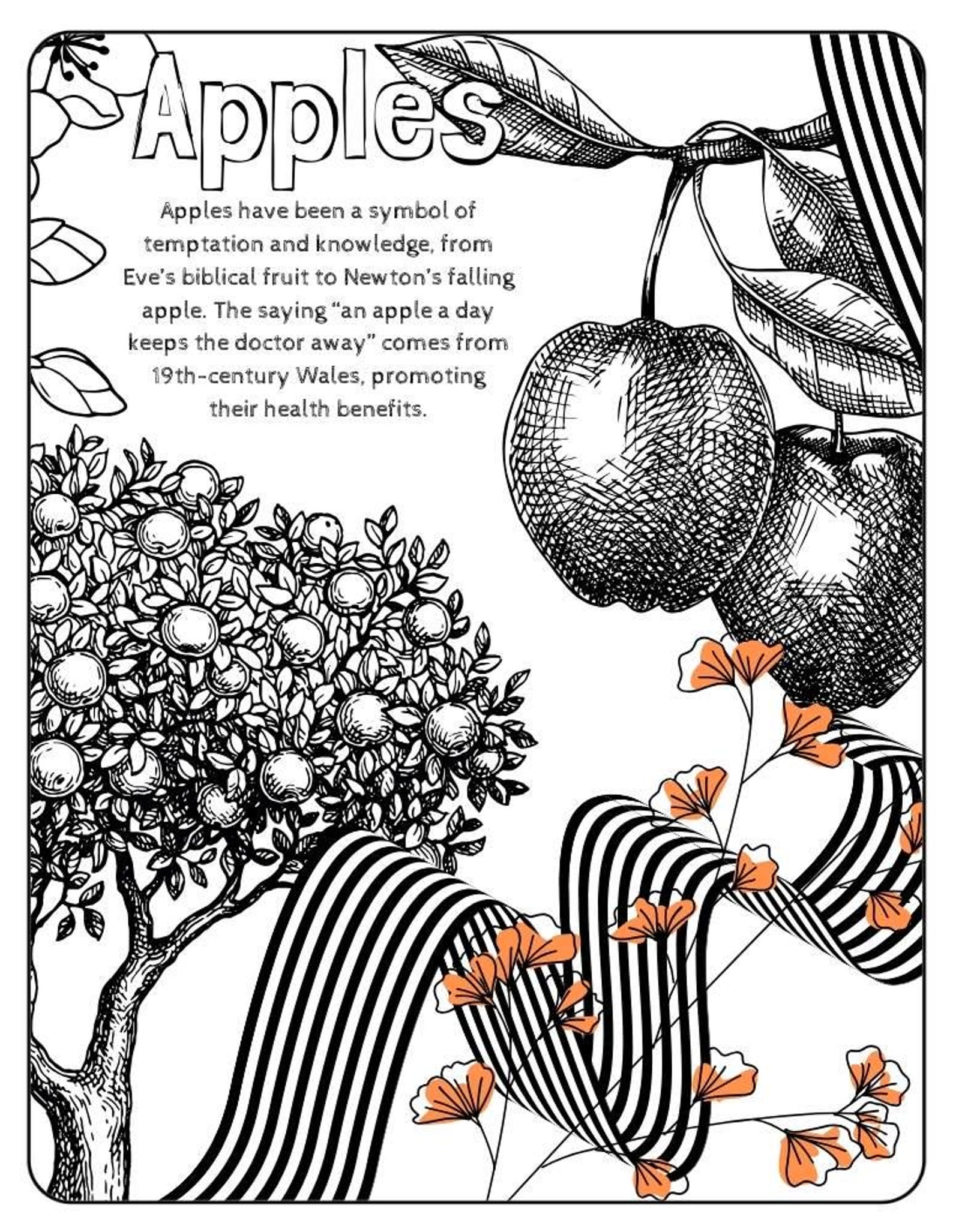 Printable Fruit Coloring Book – Unique Coloring Pages for Kids & Adults ...