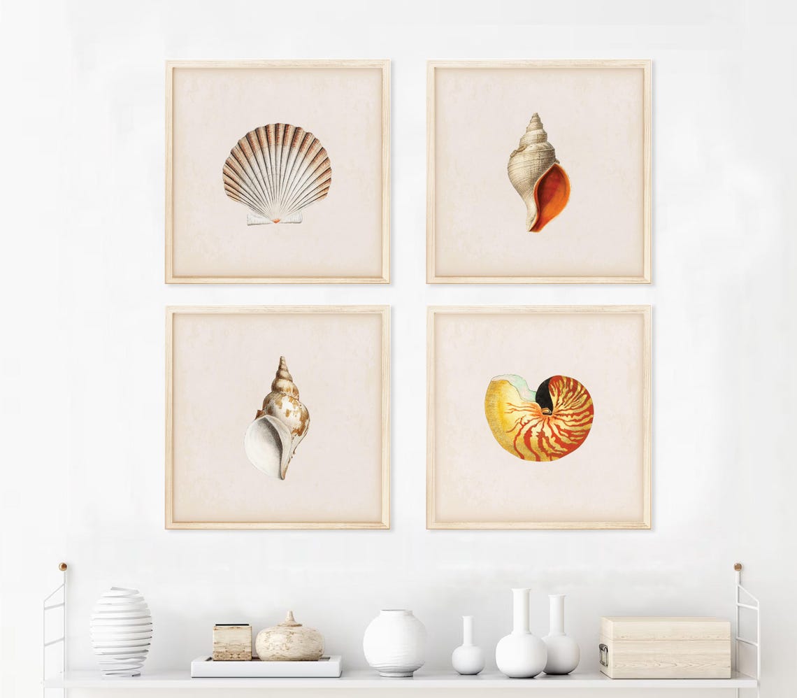 Vintage Sea Shells Art Prints Set of 9: Square Gallery Wall Set Digital ...