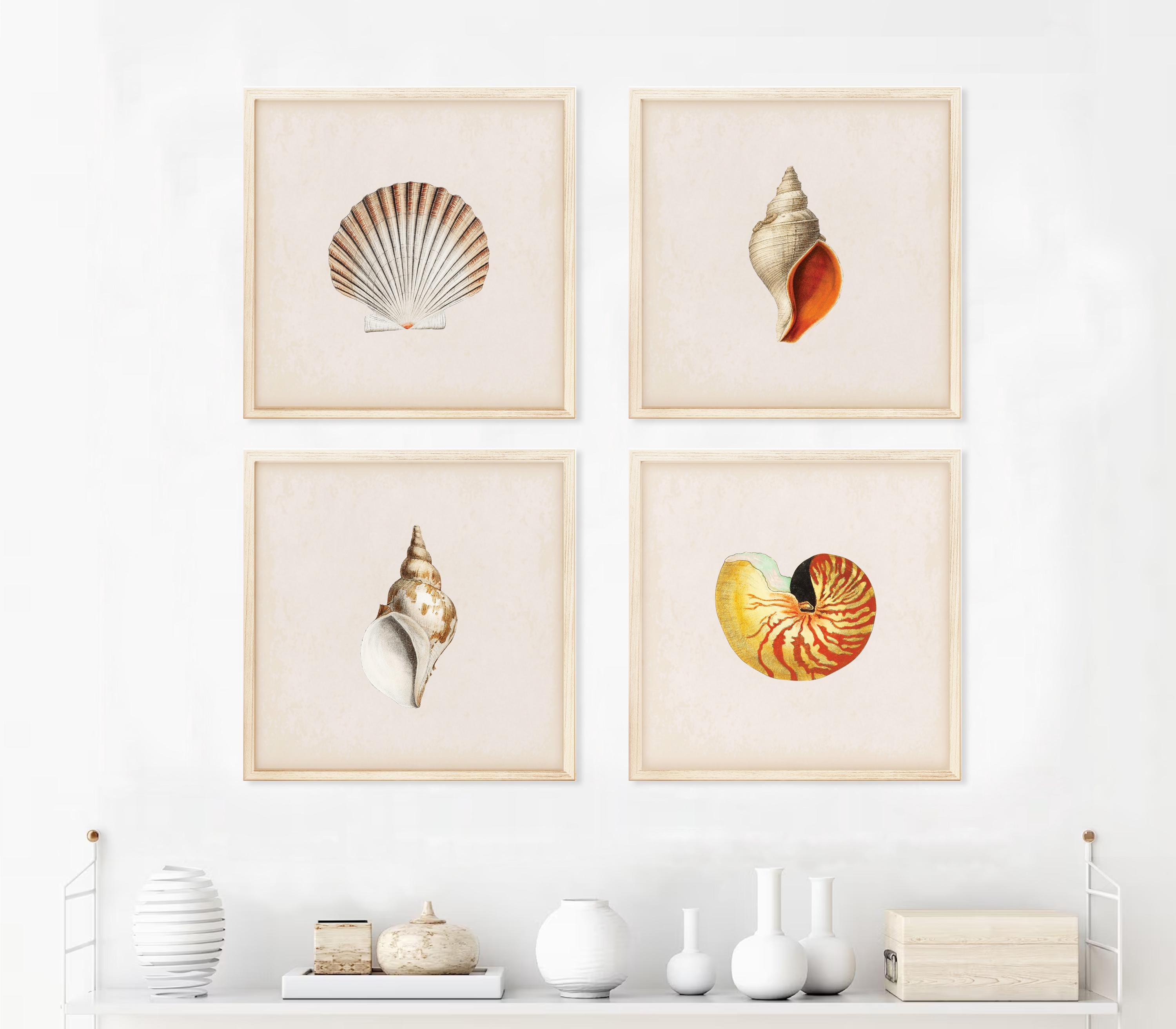 Vintage Sea Shells Art Prints Set of 9: Square Gallery Wall Set Digital ...