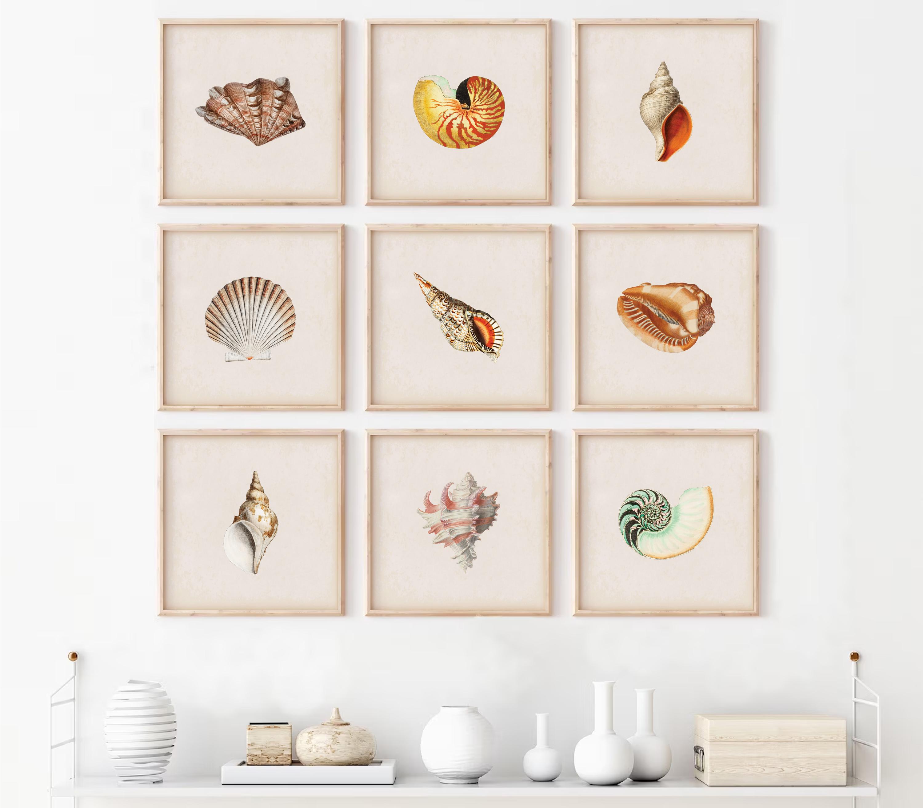 Vintage Sea Shells Art Prints Set of 9: Square Gallery Wall Set Digital ...
