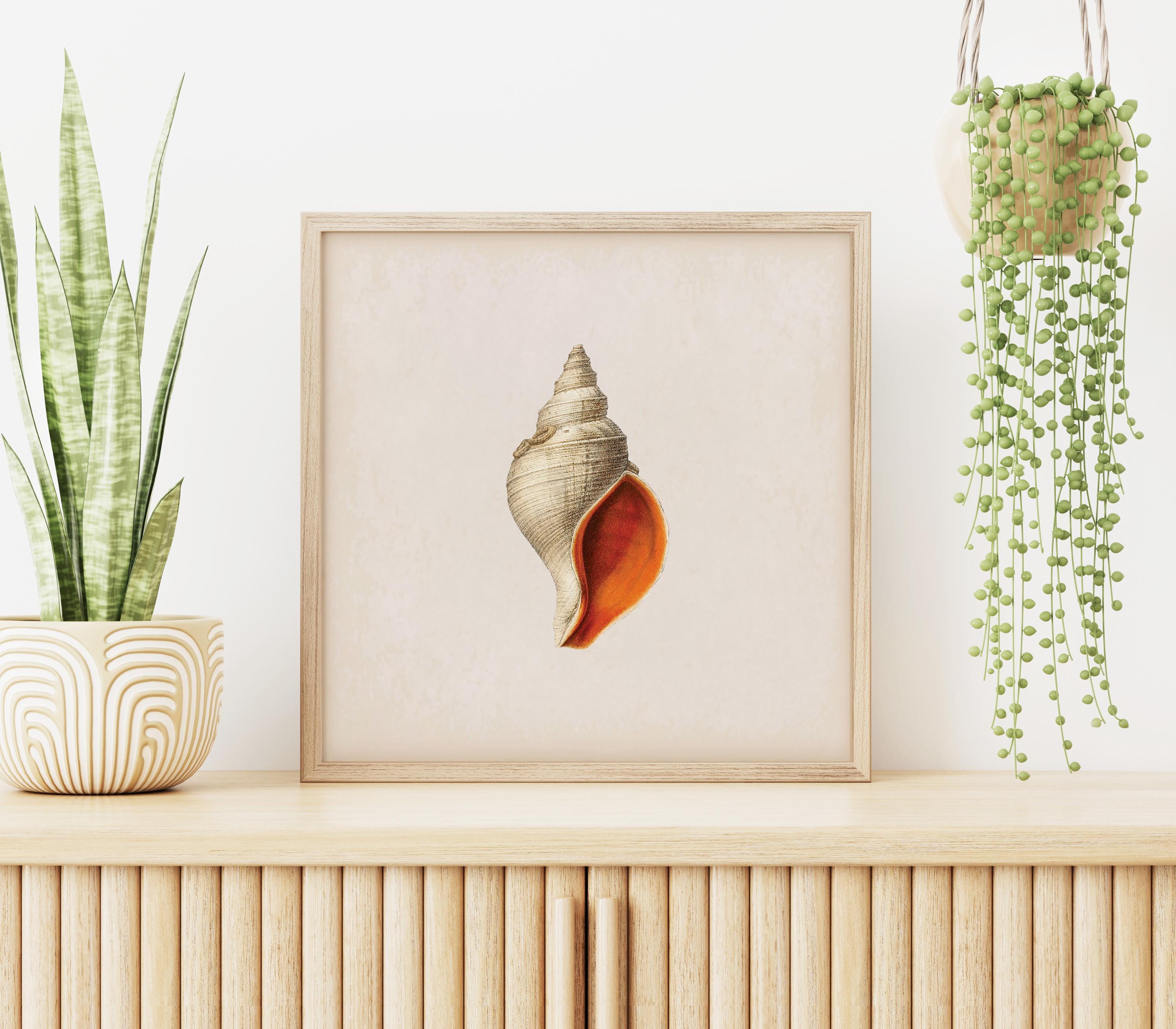 Vintage Sea Shells Art Prints Set of 9: Square Gallery Wall Set Digital ...