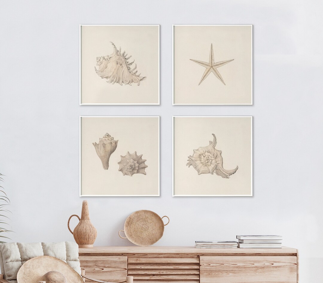 Vintage Sea Shells Set of 4 Poster Prints, Printable Wall Art by Julie ...