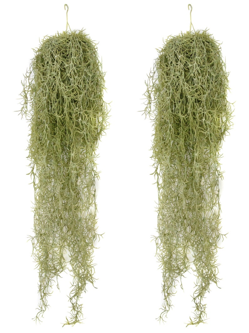 Artificial Hanging Spanish Moss set of 2 High Quality - Etsy
