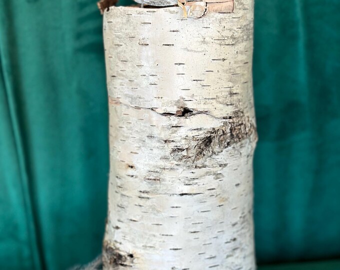Real White Birch Bark Sheet: Minnesota Hobby Farm Craft Supply (8.5x7 ...