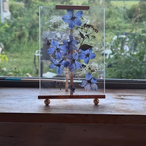 Pressed Flowers Frame, Dandelion Seeds,real Pressed Flowers, Glass Art ...