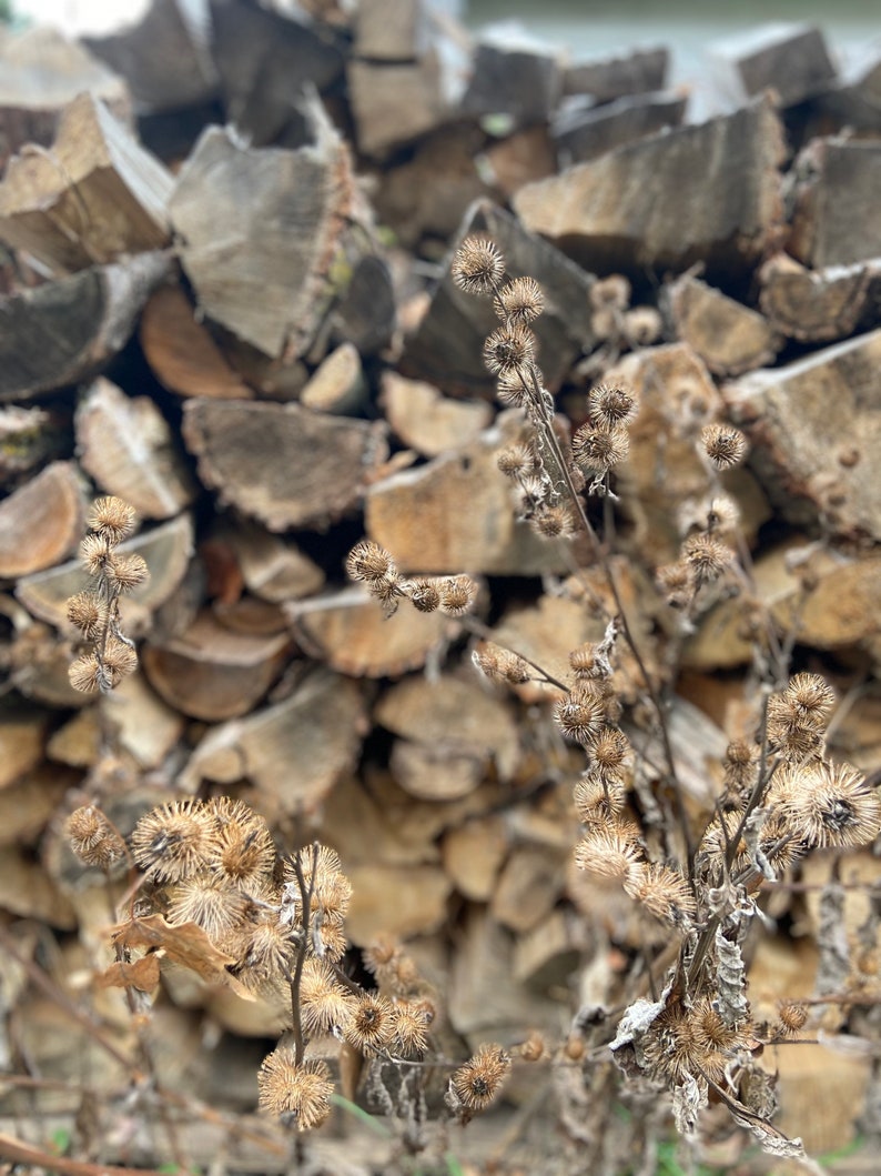 Hardwood Ash, Double Sifted Wood Ash , Organic Fertilizer, Lye Soap ...