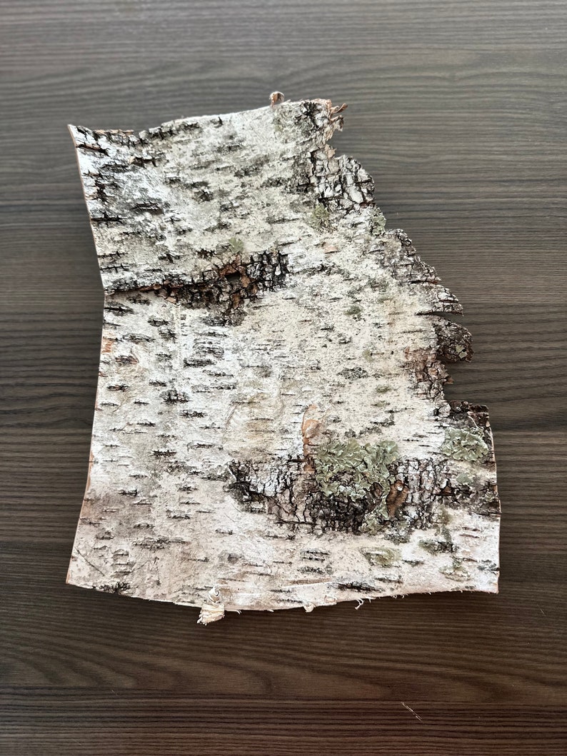 Real White Birch Bark, Birch Bark Sheets, Approximately 12 Inches Long ...