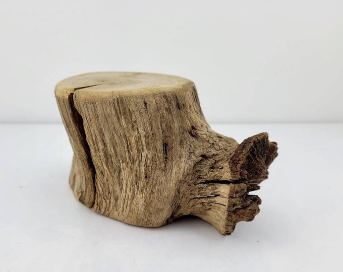 Pure Natural Real Wood Branch Tree Stump - Woodland Decor Forest Fairy ...